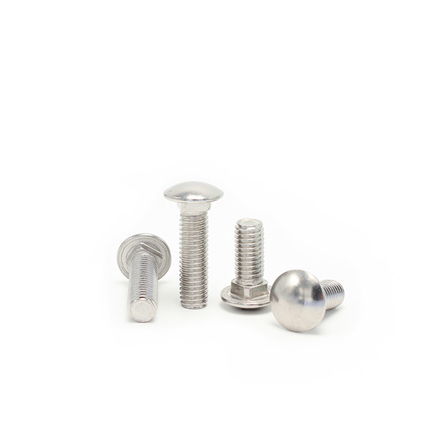 Cup Head Square Neck Bolts - Wanhong-fastener